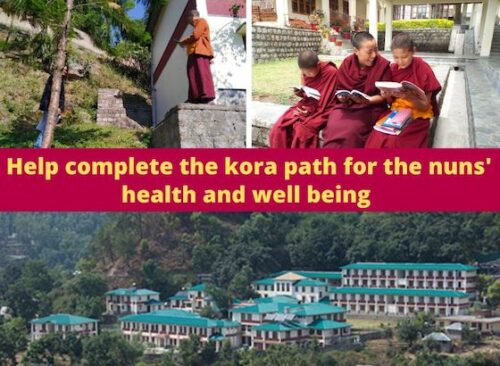 Making History: The Senior Nuns at Shugsep Nunnery - Tibetan Nuns Project