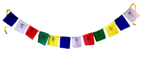 Tibetan Mantra Prayer Flags - Tibetan Nuns Project