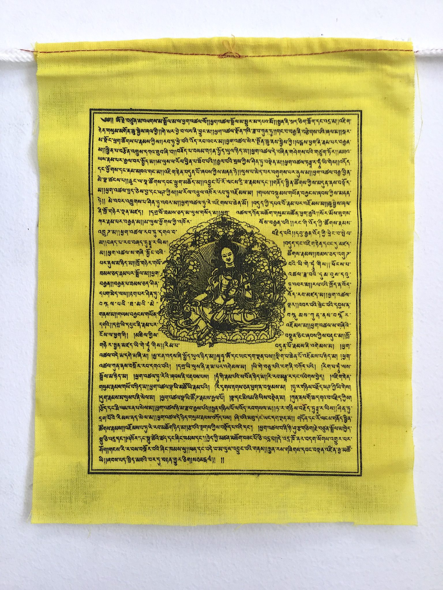 Prayer Flags - Tibetan Nuns Project
