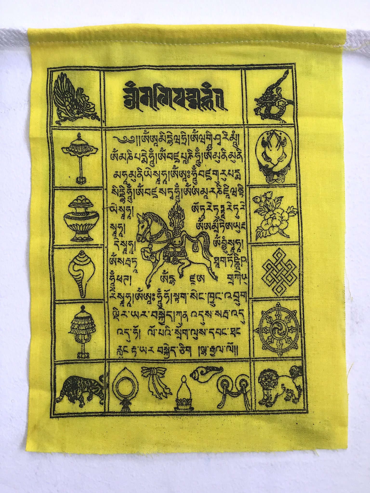 Prayer Flags - Tibetan Nuns Project
